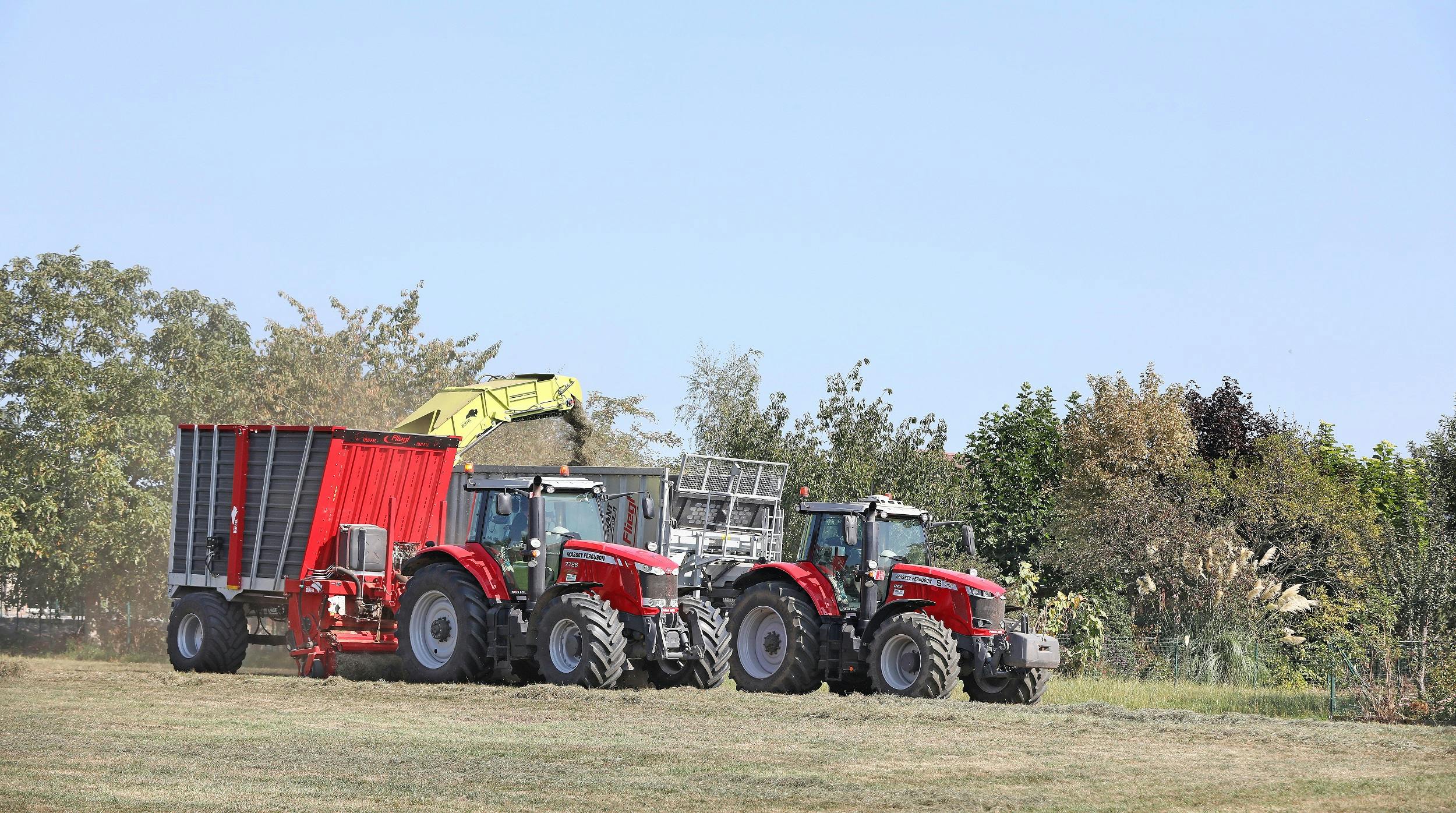 Fliegl Büffel snijdt en laadt gras - Trekker