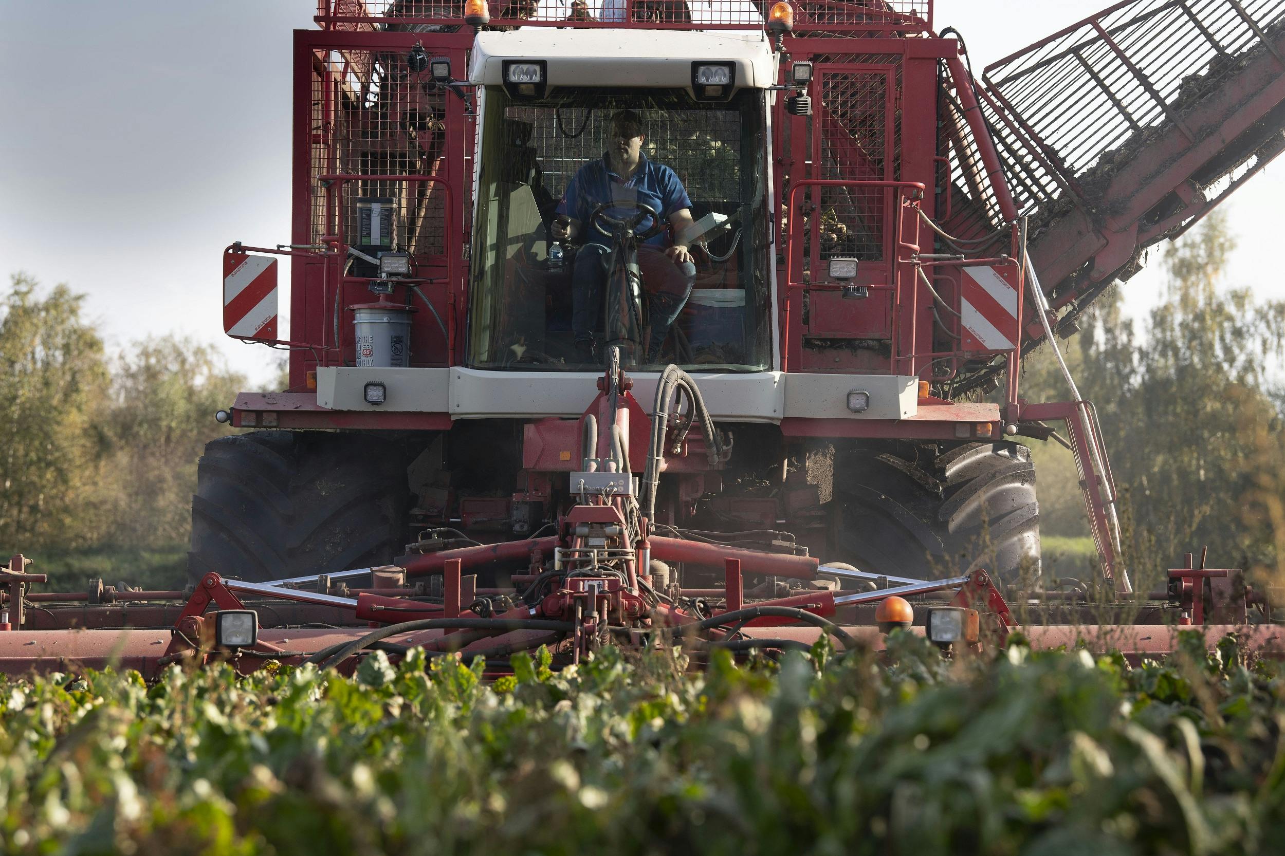 Bodemdruk blijft heet hangijzer in aardappel- en bietenoogst - Trekker